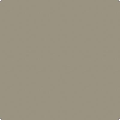 Benjamin Moore's CC-696 Taiga | Hirshfield's